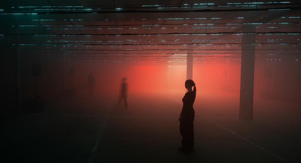 Homepage - The Beams